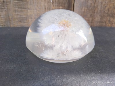 W. Rolfe William Rolfe Dandelion Clear Plastic Paperweight | eBay