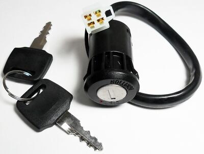 Baja BA49, BA50,WD50, ATV Key Ignition Switch | eBay