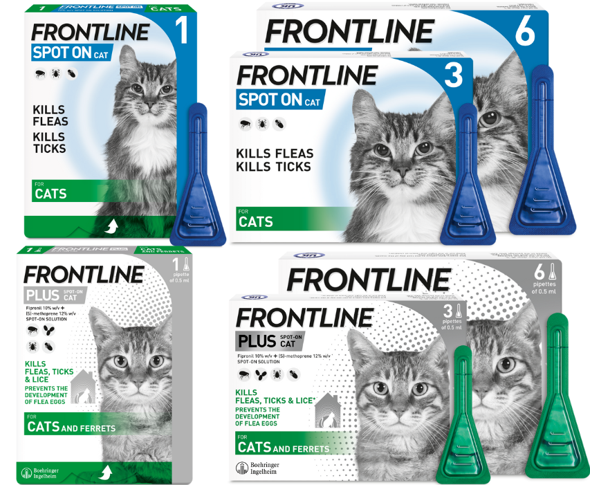 FRONTLINE PLUS Cat Flea Treatment For Cats 1, 3 or 6 Pipette Spot On ...