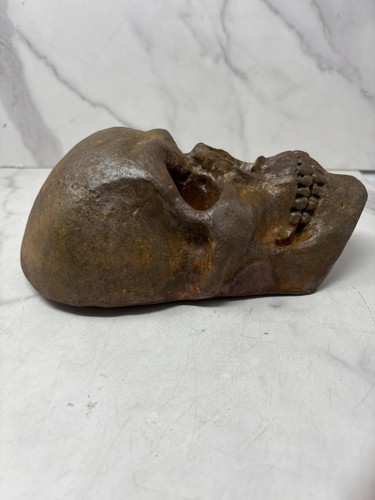VTG Incredible Human Skull Cast - Unsure Of Material But HEAVY And ...