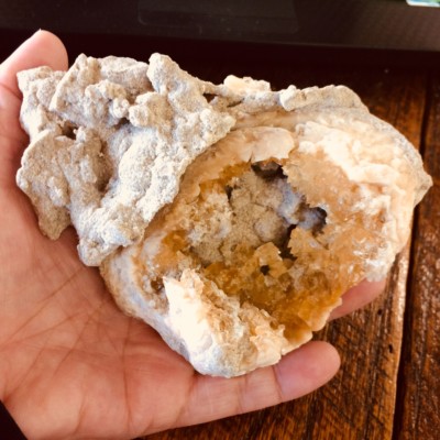 Calcite Crystals Fossilized Clam Shell Florida Gemmy Sand Coral Matrix ...
