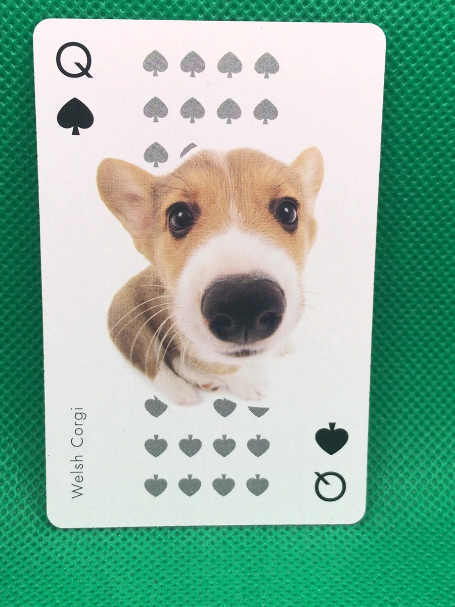 Corgi Playing Cards