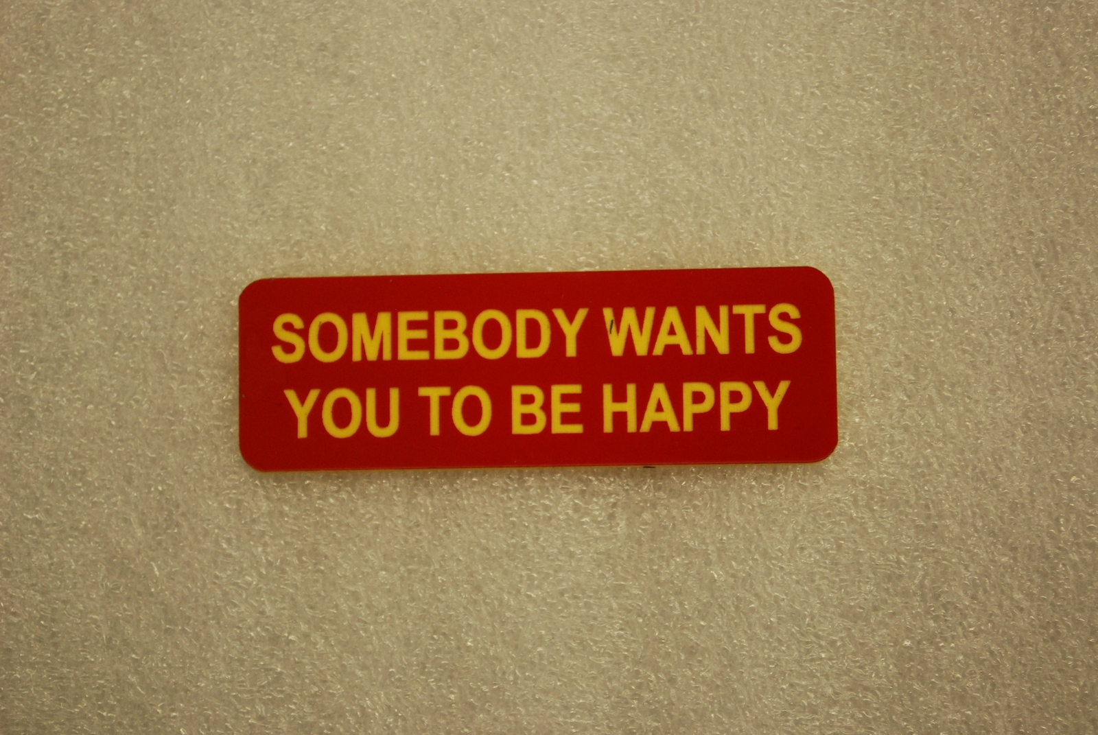 SOMEBODY WANTS YOU TO BE HAPPY (Fun Badges) | eBay