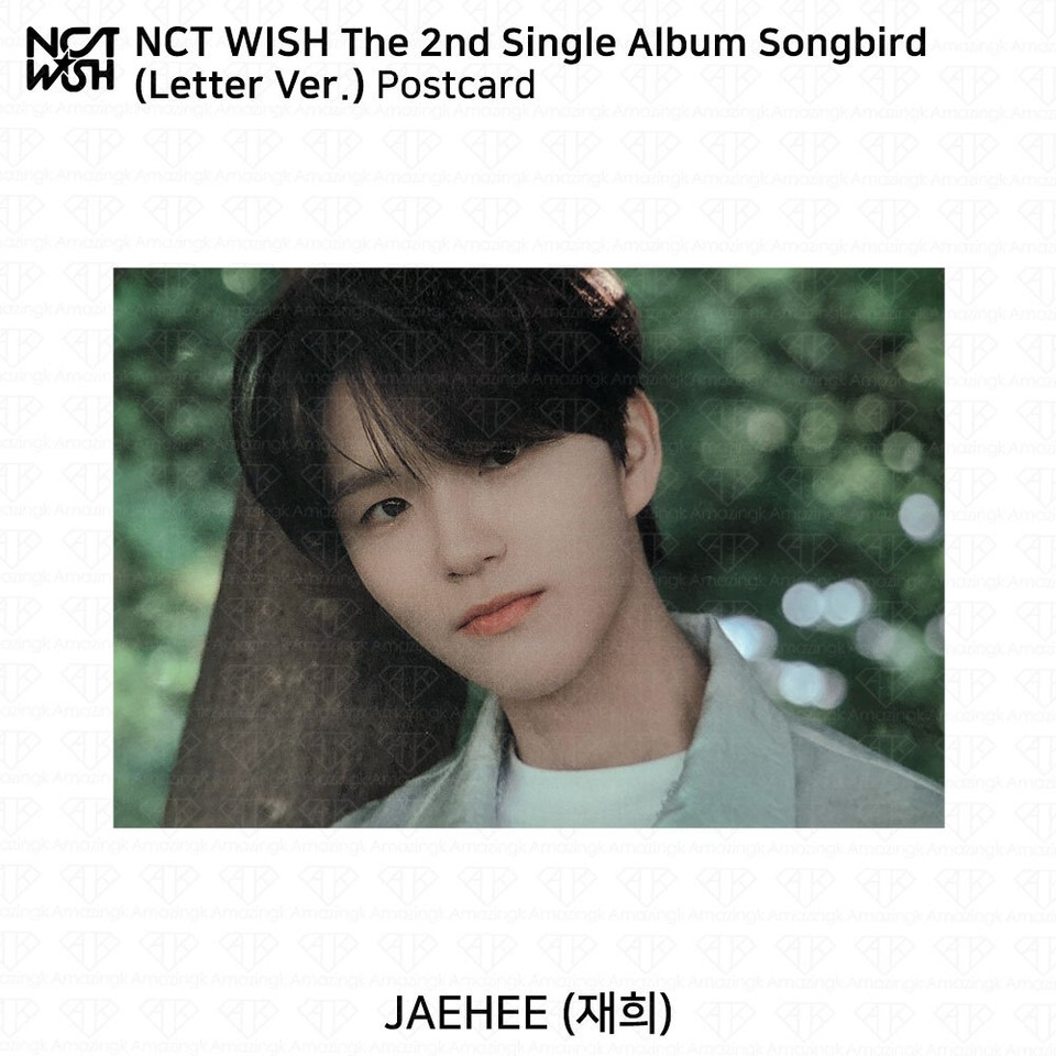 NCT WISH The 2nd Single Album Songbird Official Photocard Postcard RIKU ...