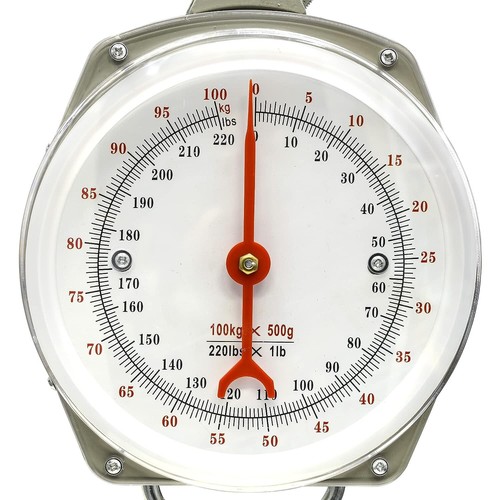 Hanging Spring Dial Scale 220lb/100kg Big Game Scale,Hanging Scale with ...