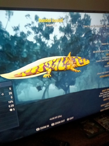 Fallout 76 Xbox Rare June Branded Axolotl | eBay