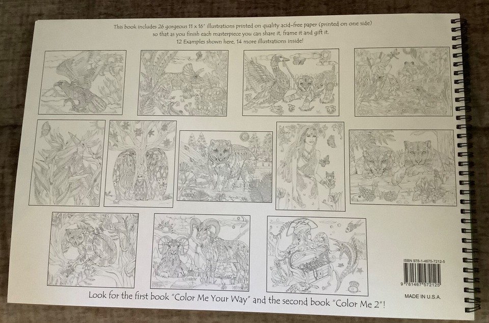 Color Me 3, Illustrated by P.J.C. Smart Oversized Coloring Book | eBay