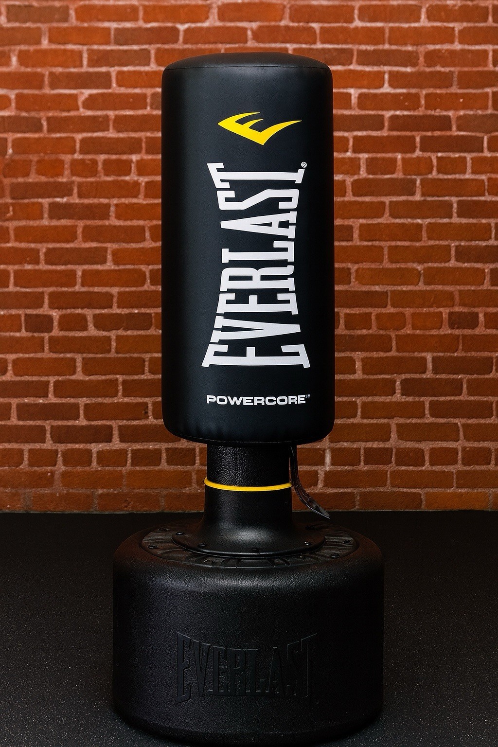 Everlast Powercore Free Standing Indoor Rounded Heavy Duty Fitness ...