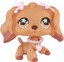 Littlest Pet Shop LPS Cocker Spaniel dog #716 Who Love LPS Kids Gift ...