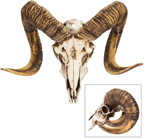 Bighorn Ram Head Sheep Skull Life Sized Rustic Wall Trophy Decor ...