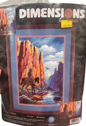Dimensions Needlepoint Kit "Lone Rider" Native American 2001 | eBay