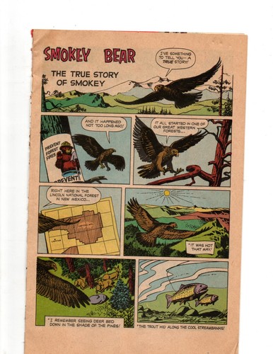 1960s The True Story of Smokey the Bear Comic Book 1969 Prevent Forrest ...
