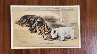 Mac Lucy Dawson Dog Postcard A TRUE GENTLEMAN Cocker and Westie ...