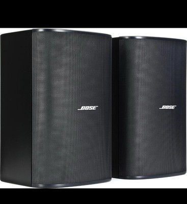 Bose Professional DesignMax DM6SE 100W 6.5-inch Indoor/Outdoor ...