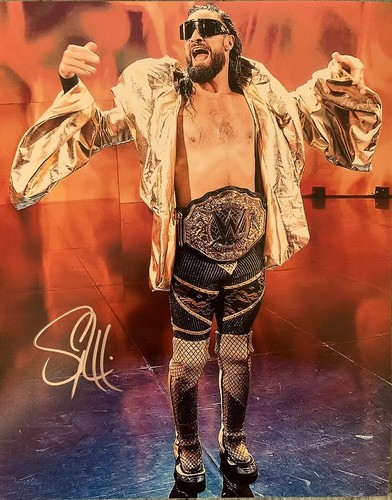 Seth Rollins WWE Hand Signed Autograph 8x10 Photo With COA | eBay Australia