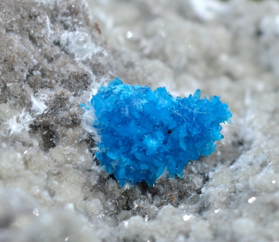 Cavansite & Calcedonio 316 Grammi - Wagholi, Poona Distretto ...