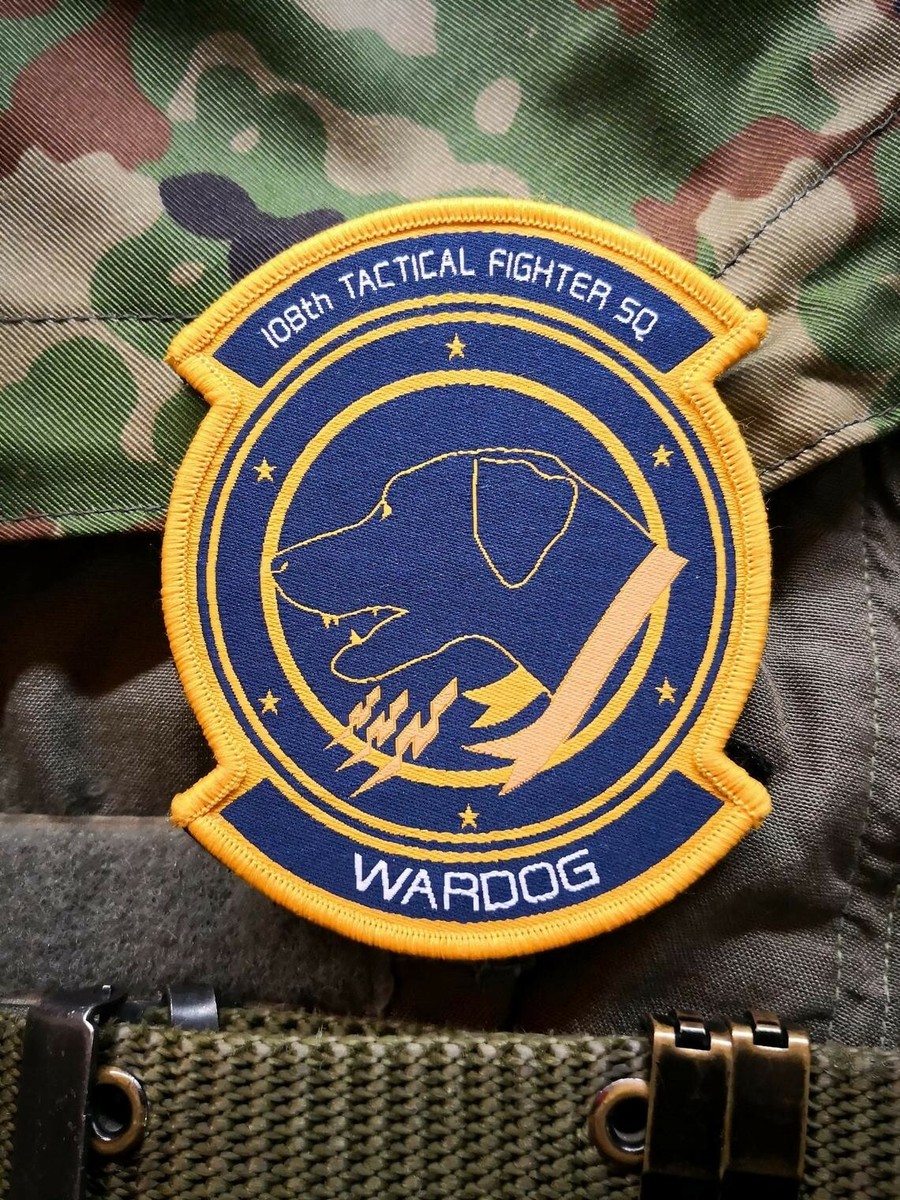 Razgriz Logo Amazon.com: Ace Combat 0 Belkan War GALM Squadron Morale