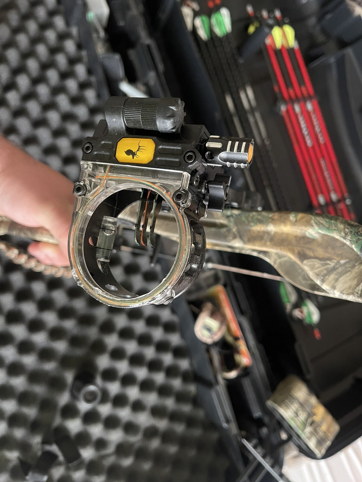 hoyt helix compound bow | eBay