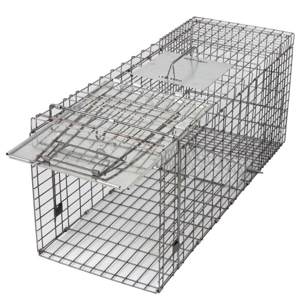 2PCS Live Animal Traps 32"x12.5"x12" Steel Humane Animal Cage Raccoon ...