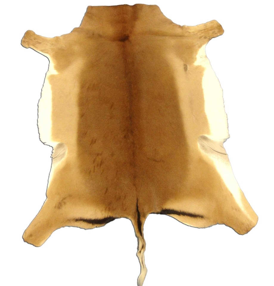 Real Impala Skin - Genuine Impala antelope hide L Approx: Size 40"X30 ...