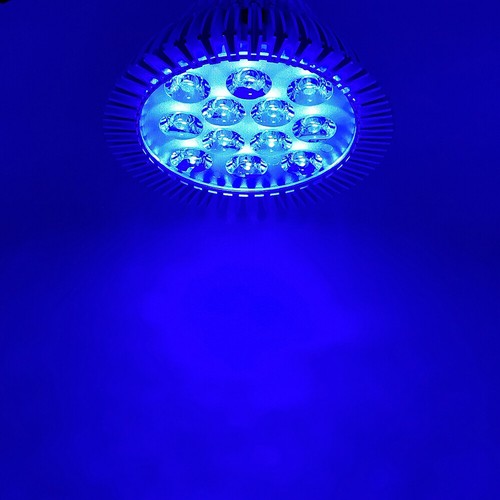 36W PAR38 Royal Blue 450nm~455nm LED Lamp Spot Light Bulb for Plant ...