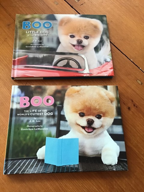 Lot of 2 Boo The World’s Cutest Dog & Boo In the Big City books Urban ...