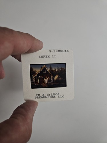 Shrek 2 Promo Slide Shrek And Fiona 2004 | eBay