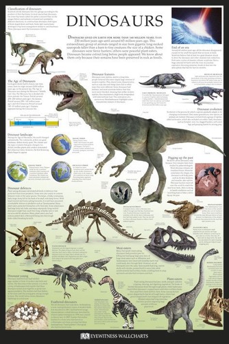 DINOSAURS - DK EYEWITNESS WALL CHARTS 91 x 61 cm 36" x 24" POSTER x | eBay