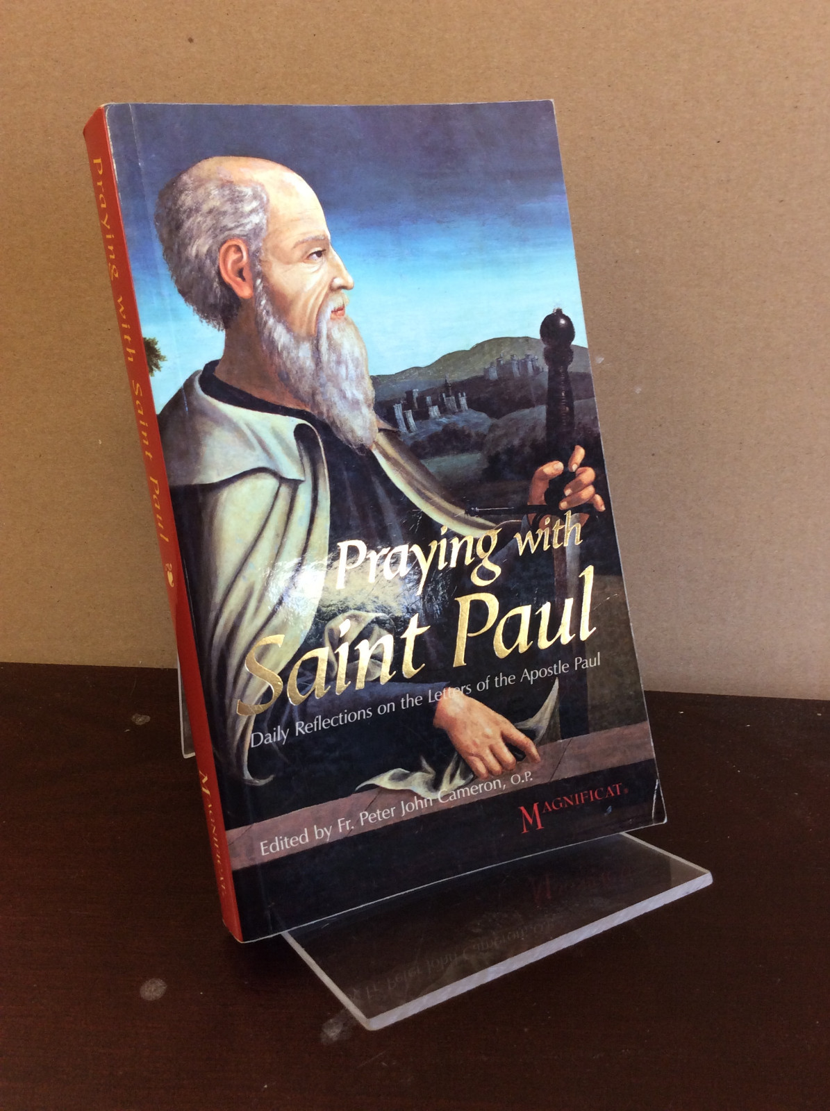 PRAYING WITH SAINT PAUL: Daily Reflections on the Letters of the ...