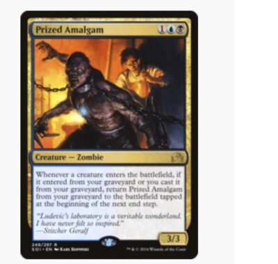 Prized Amalgam+ 10 random rares! mtg rare Christmas gift!! magic | eBay