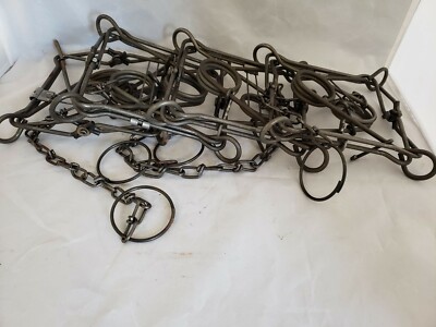 4 Duke 160 Trap Body Grip Skunk Groundhog Raccoon Survival Trap Fisher ...