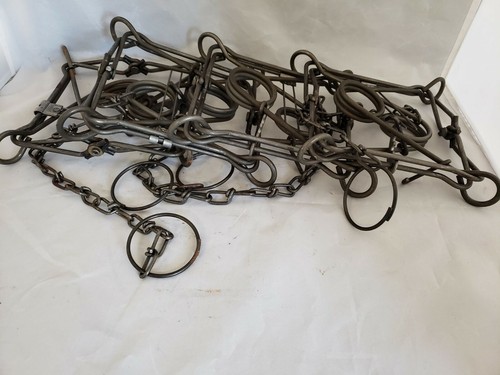 4 Duke 160 Conibear Trap Body Grip Skunk Groundhog Raccoon Survival ...