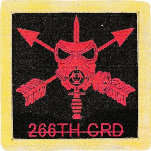 RARE/VINTAGE 266TH CHEMICAL DETACHMENT LAPEL/PIN | eBay