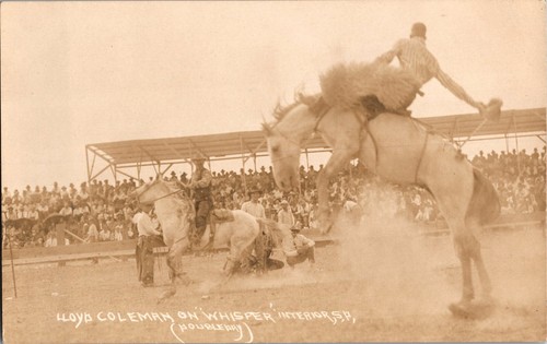 RPPC Cowboy Lloyd Coleman on Whisper, Interior SD Rodeo Vintage ...