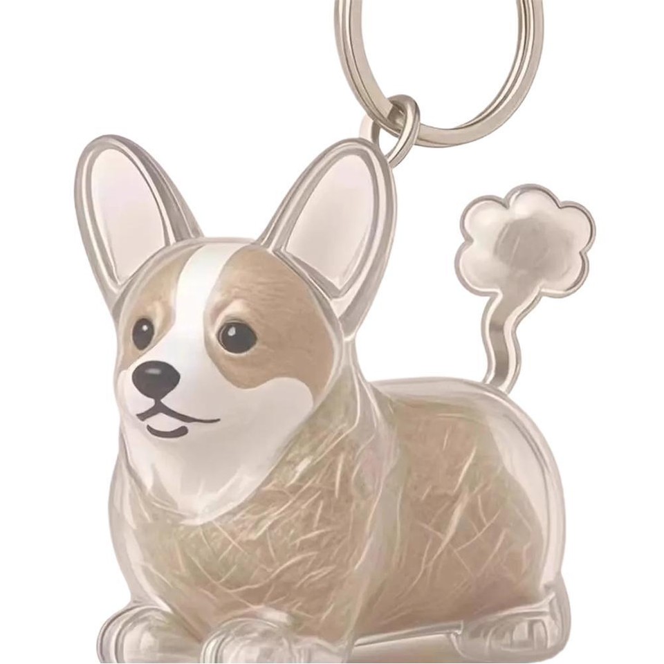 -Pet Hair Storage Creative Keychain Clear Dog Shell Pendant Memorial ...