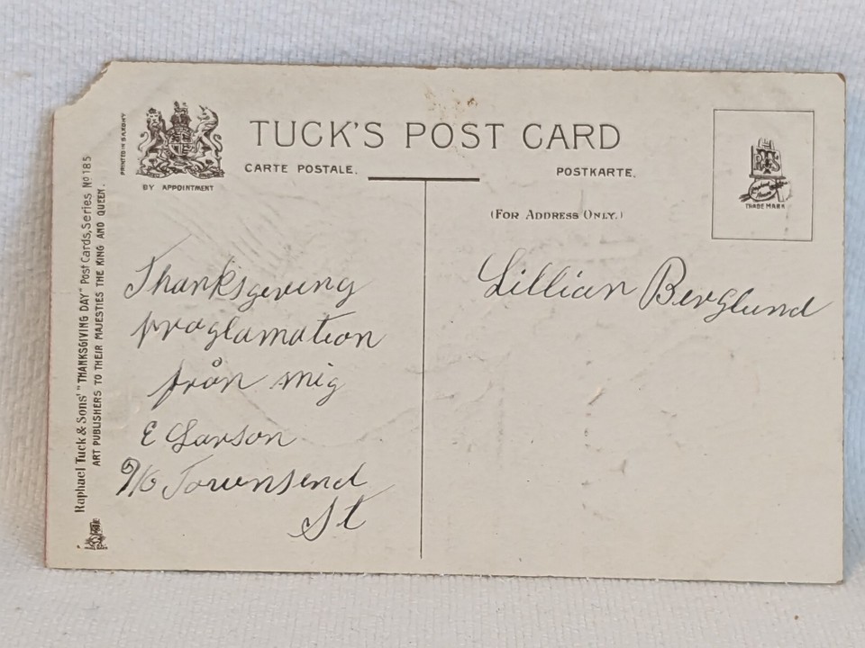 Postcard Thanksgiving Day Turkey Young Girl Bonnet Fence Tuck's Post ...