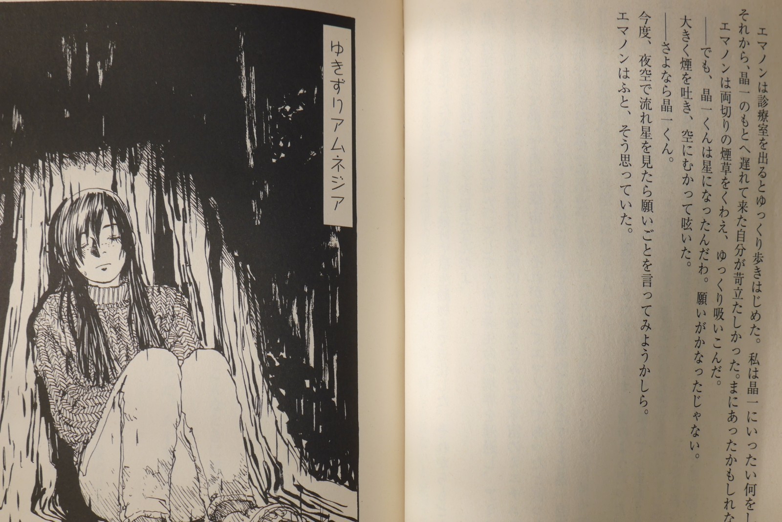 JAPAN Kajio Shinji novel: Omoide Emanon Kenji Tsuruta | eBay