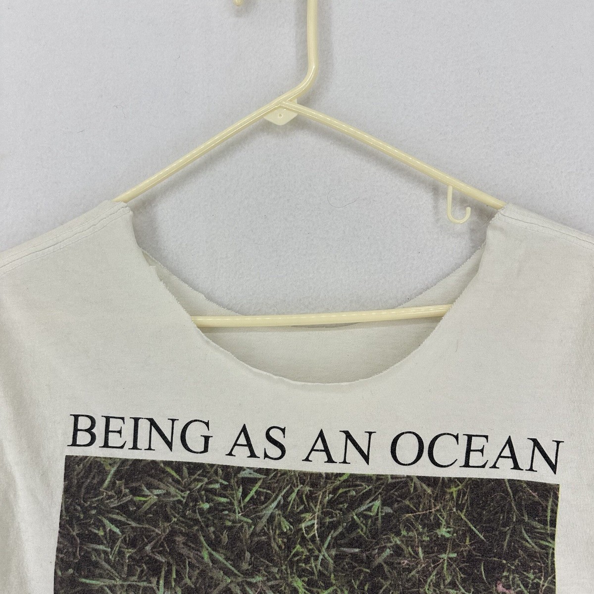 Being As An Ocean Fox