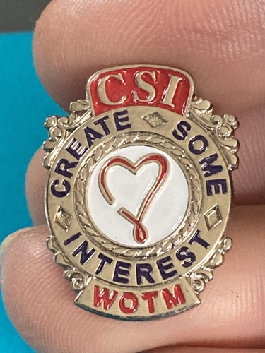 Create Some Interest CSI Lapel Pin EUC K547 | eBay
