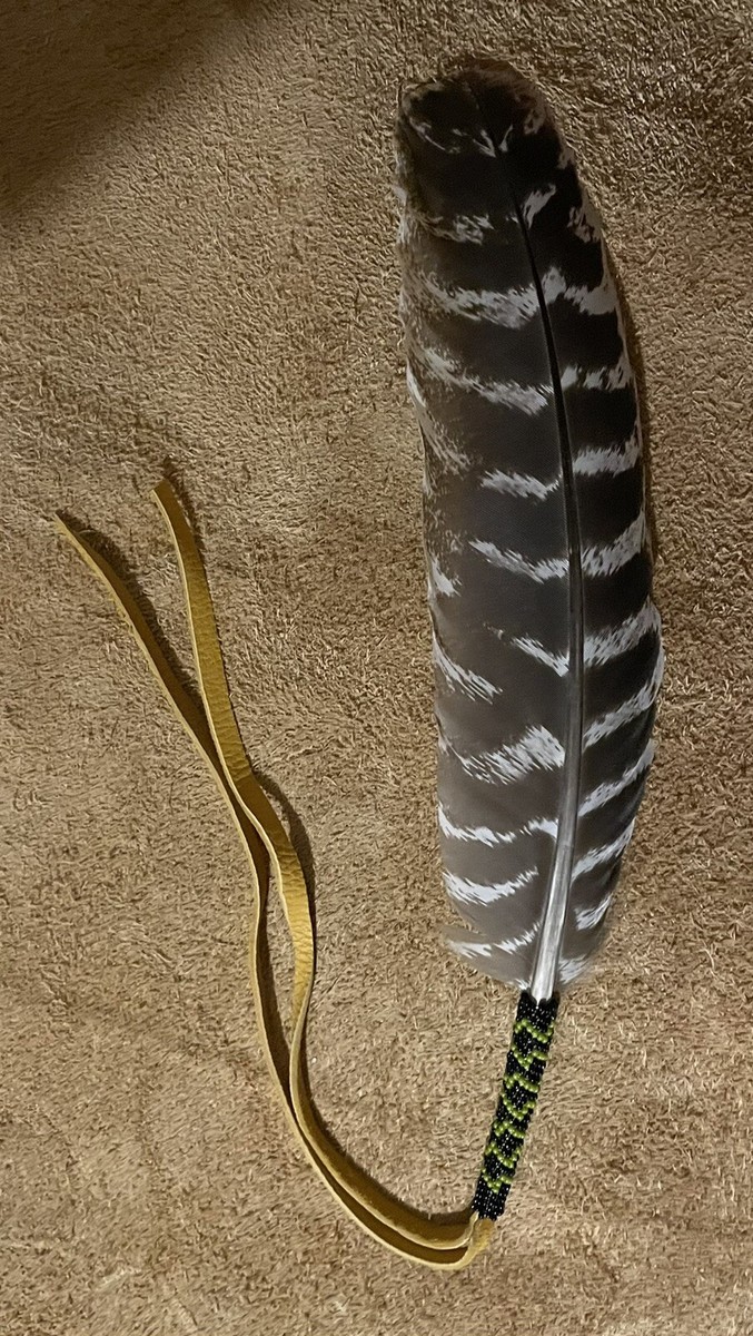 Native American Beaded Feathers