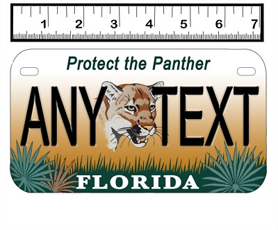 Custom Personalized Motorcycle State License Plate-Florida Protect The ...
