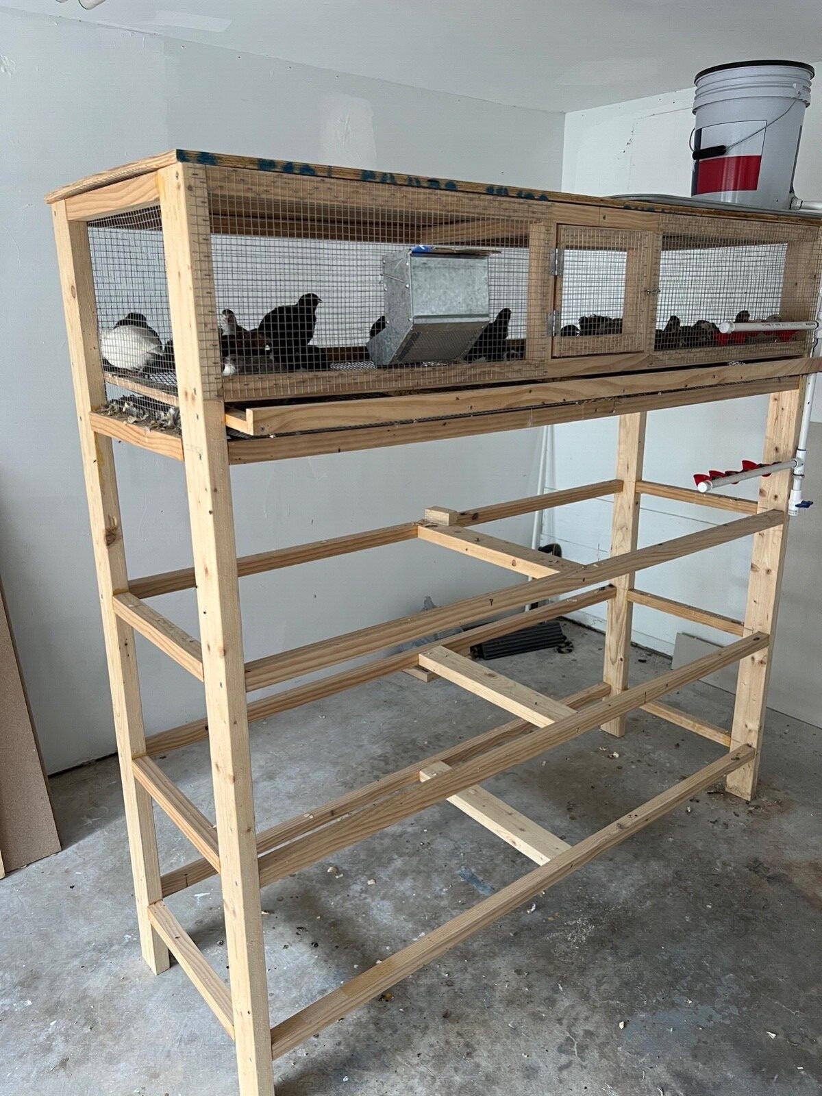 Wooden Quail Cage, 4 Levels capable, feeders included, automatic water ...