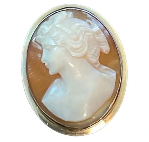Italian Left-Facing Ceres Shell Cameo Brooch/Pendant—Marked 800 Silver ...