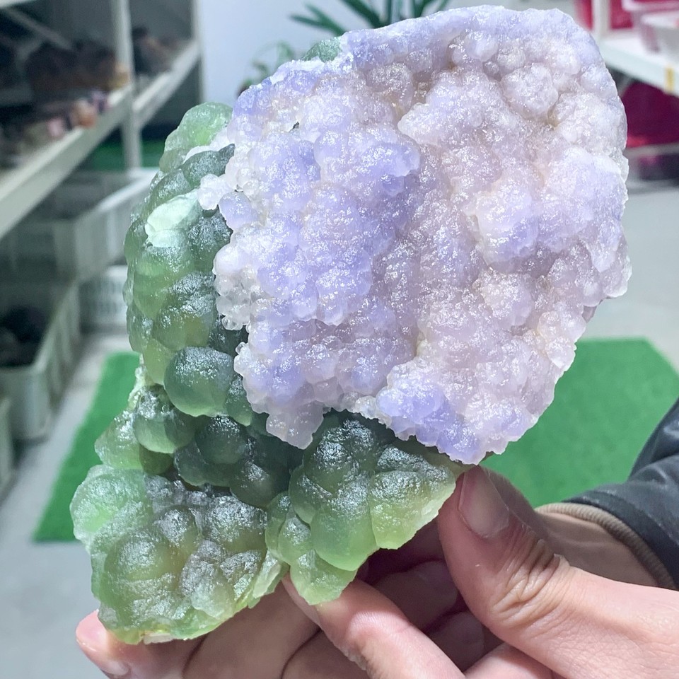 2.14LB Natural Fluorite Green-white dual color crystal mineral Specimen ...