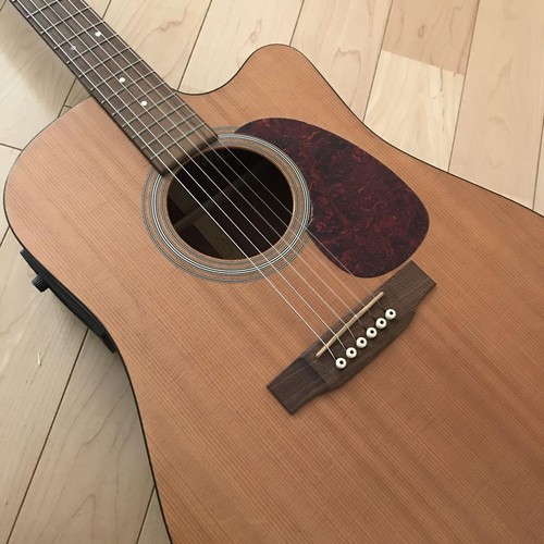Acoustic Electric Guitar Martin &Co. DC-1E Natural | eBay