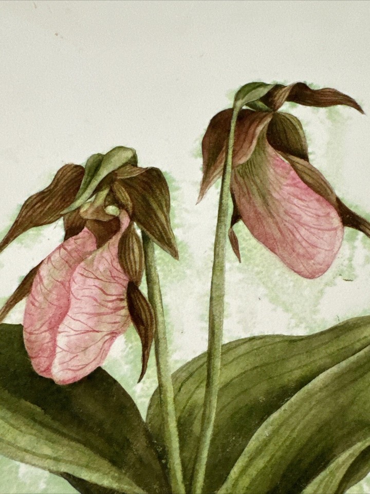 Vintage Joan Heflin Rankin Watercolor Art Flowers 12”x12” (TD) | eBay