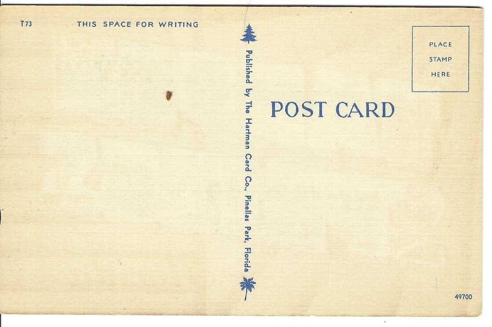 CM-011 FL Tarpon Springs Greetings Large Letter LL Linen Postcard ...