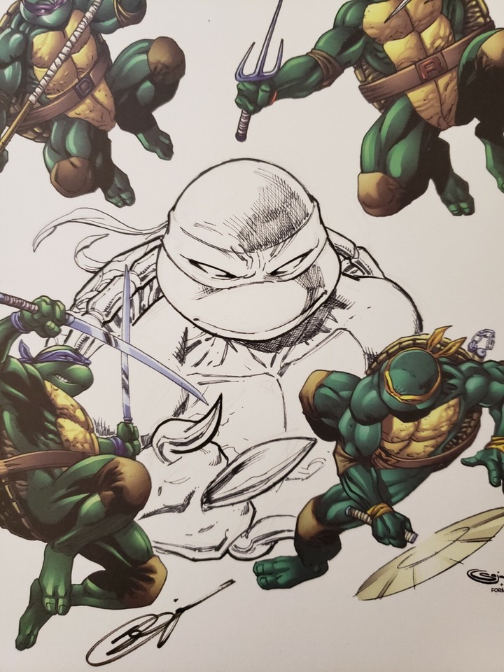 Teenage Mutant Ninja Turtles #1 Sajad Shah Raphael Remark Variant IDW ...