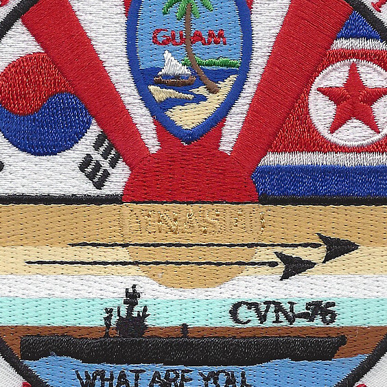 VAQ-132 Electronic Attack Squadron Pacom 2015 Patch | eBay