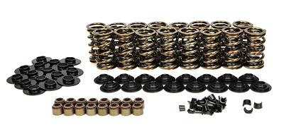 Lunati Gold Dual Valve SPRING KIT FOR HOLDEN V8 LS1 GEN 3 LS2 LS3 5.7 6 ...